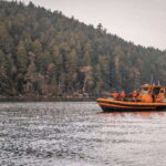 Nanaimo: Whale Watching Open Boat Tour - Key Points