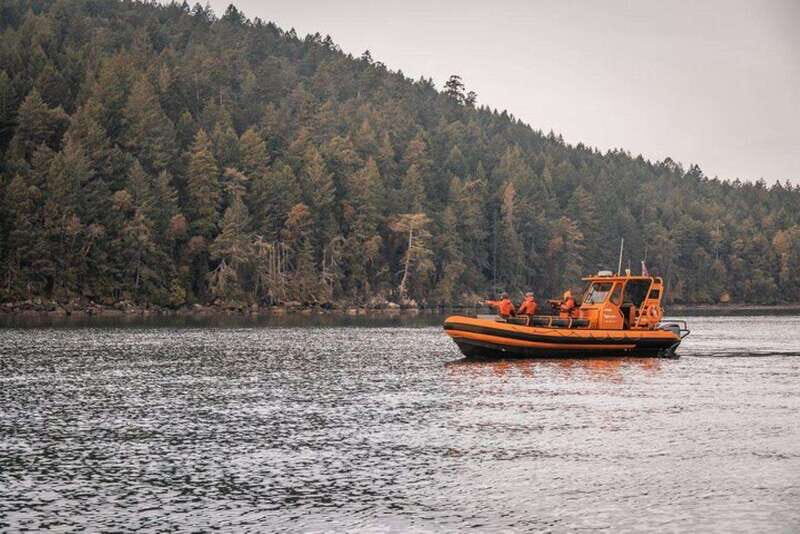 Nanaimo: Whale Watching Open Boat Tour - Key Points