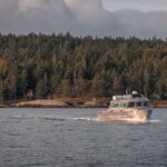 Nanaimo: Whale Watching Semi-Covered Boat Tour - The Value of the Experience