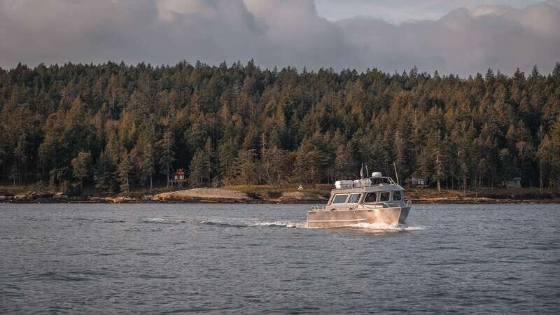 Nanaimo: Whale Watching Semi-Covered Boat Tour - The Value of the Experience