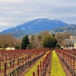 Napa and Sonoma Small Group Wine Tour from San Francisco - The Value of This Tour