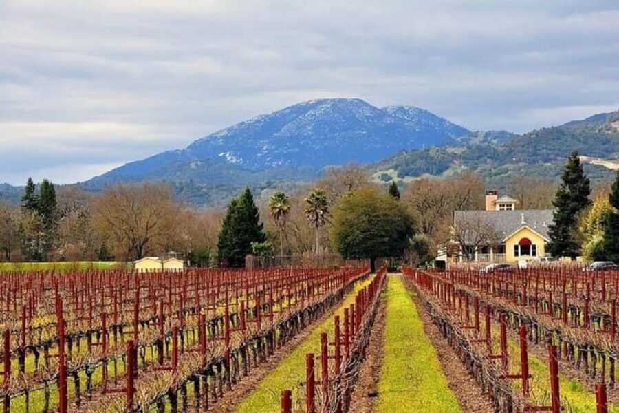 Napa and Sonoma Small Group Wine Tour from San Francisco - The Value of This Tour