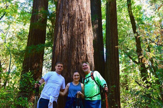 Napa Private Hike and Wine Tour - How About the Price?