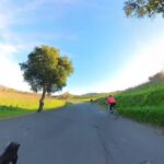 Napa/Sonoma: Guided Tour for Cycling Enthusiasts - Who is this tour best suited for?