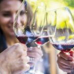 Napa Valley: Guided Wine Tour with Picnic Lunch - Authentic Perspectives from Travelers