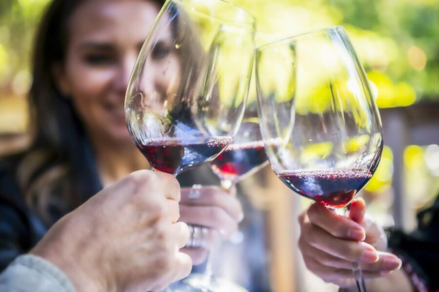 Napa Valley: Guided Wine Tour with Picnic Lunch - Authentic Perspectives from Travelers