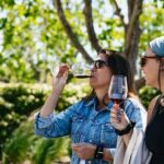 Napa Valley Wine and Food Tasting Tour from San Francisco - The Itinerary in Detail