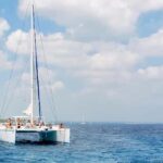 Naples: Catamaran Cruises with Wildlife Views - Who Will Love This Experience?