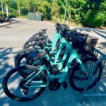 Naples, FL: Group Sightseeing Guided Bike Tour - Final Thoughts
