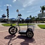 Naples, Florida: Family Friendly Guided Electric Trike Tour - Who Would Love This Tour?