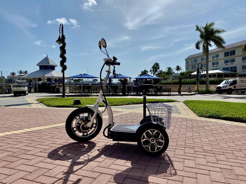 Naples, Florida: Family Friendly Guided Electric Trike Tour - Who Would Love This Tour?