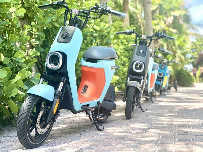 Naples, Florida - Segway Electric Moped Tour - Family Fun - A Well-Rounded Itinerary