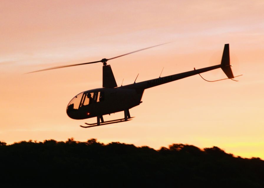 Nashville: Downtown Helicopter Experience - Who Should Consider This Tour?