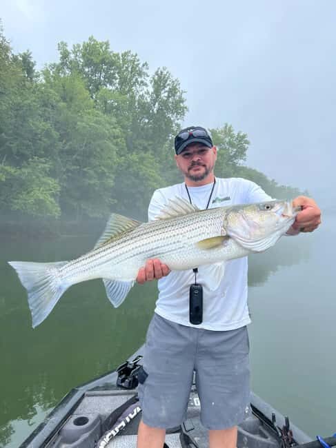 Nashville: Hybrid and Striped Bass Fishing Trip - What to Expect: A Well-Balanced Fishing Experience