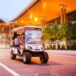 Nashville: Sightseeing Cart Tour - Who Will Love This Tour?