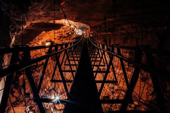 Nashville to Kentucky Caves & Kangaroos: A Day of Enchantment - In-Depth Look at the Itinerary
