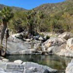 Natural Hot Springs Experience - Transportation and Logistics