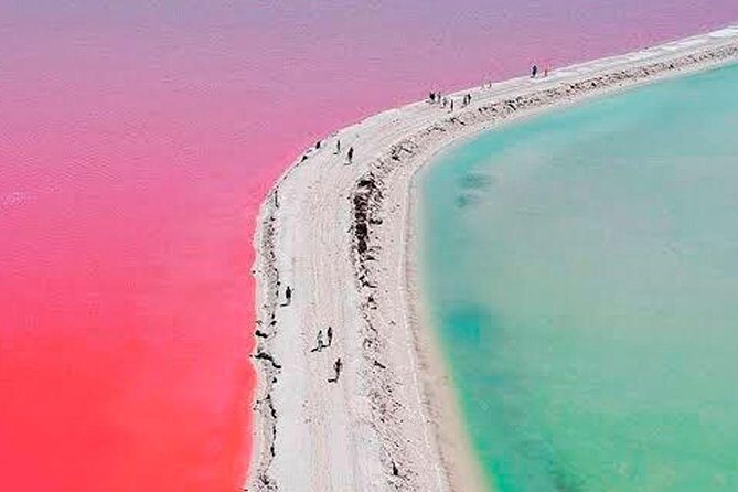Natural Pink Lake Tour Las Coloradas only from Playa del Carmen - Transportation, Price, and Value