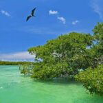 Nature Day, Sian Kaan Biosphere Tour! Round Transportation from Tulum City - Arrival at Sian Kaan & a Light Snack