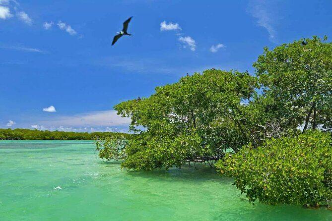 Nature Day, Sian Kaan Biosphere Tour! Round Transportation from Tulum City - Arrival at Sian Kaan & a Light Snack