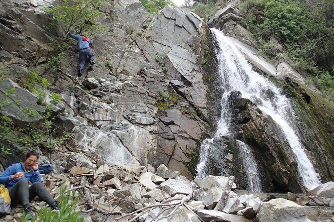 Nature Walk/Hike Tour near Disneyland: ID plants & wildlife - Who Should Consider This Tour?