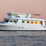 Nerissa Sounds: Live Jazz Brunch Cruise on San Diego Bay - What Makes This Cruise Stand Out