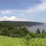 New Brunswick Shore Excursion: Bay of Fundy and More Highlights Tour - Who Will Love This Tour?