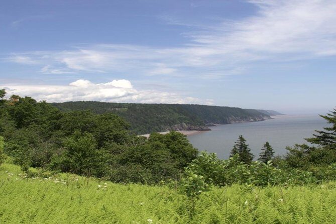 New Brunswick Shore Excursion: Bay of Fundy and More Highlights Tour - Who Will Love This Tour?