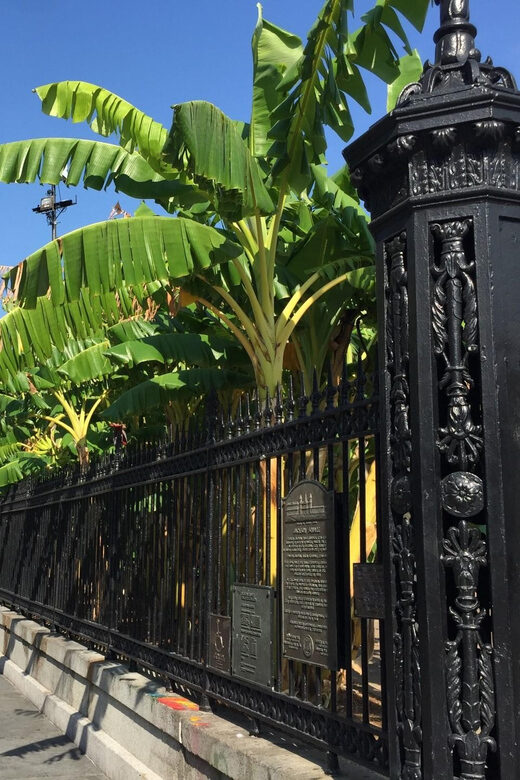 New Orleans: 45 Minutes in Jackson Square - What You Can Expect During the Tour