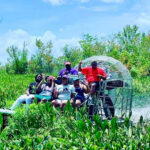 New Orleans: 6 Passenger Premium Airboat Swamp Tour - The Speed and Leisure Level