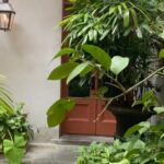New Orleans Courtyard Cocktails: Happy Hour Mixology Class - Frequently Asked Questions