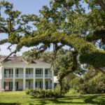 New Orleans: Felicity Plantation Guided Tour - Why You Should Consider This Tour