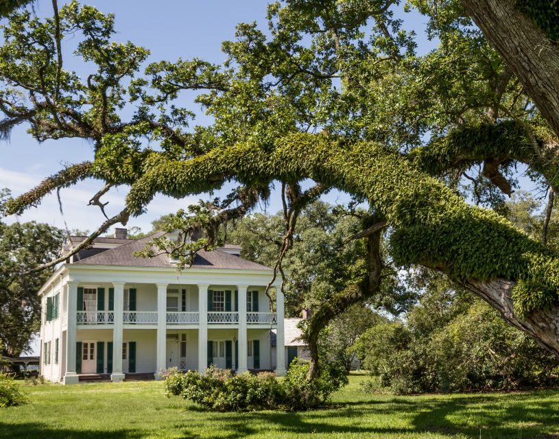 New Orleans: Felicity Plantation Guided Tour - Why You Should Consider This Tour