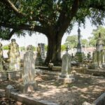 New Orleans Haunted Self Guided Ghost Tour Multilingual Audio - Who Will Love This Tour?