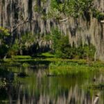 New Orleans: High Speed 16 Passenger Airboat Ride - FAQs