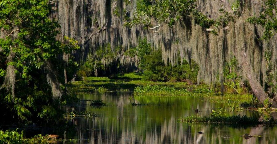 New Orleans: High Speed 16 Passenger Airboat Ride - FAQs