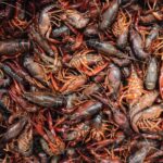 New Orleans' Lower Garden Food Tour - Why This Tour Is a Great Choice