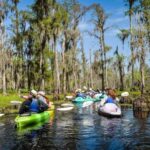 New Orleans: Manchac Magic Kayak Swamp Tour - What to Expect During the Tour