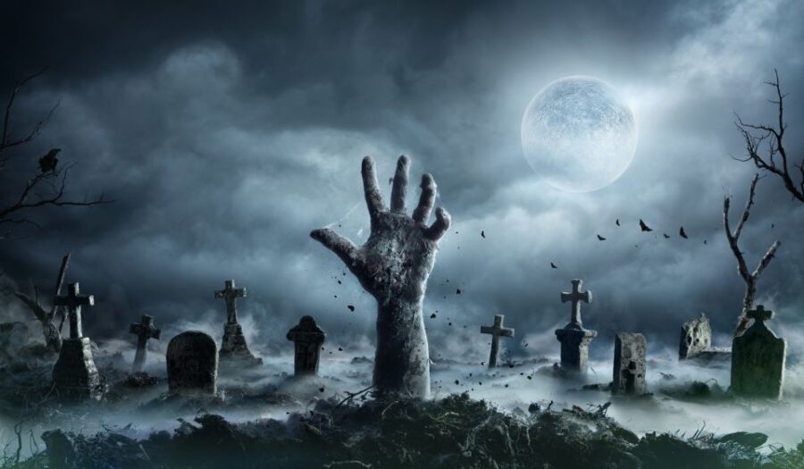 New Orleans: Night Cemetery and Ghost BYOB Bus Tour - Pricing and Value