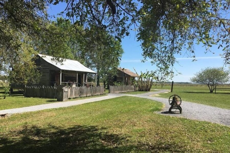 New Orleans: Oak Alley & Laura Plantation Tour w/Transport - The Value of This Tour