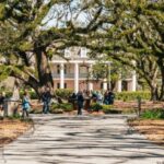 New Orleans: Oak Alley Plantation & Airboat Swamp Combo Tour - What Makes This Tour Stand Out