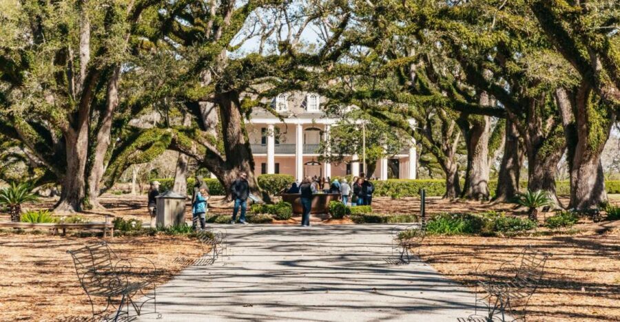 New Orleans: Oak Alley Plantation & Airboat Swamp Combo Tour - What Makes This Tour Stand Out