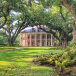 New Orleans: Swamp Boat Ride & Oak Alley Plantation Tour - Who Would Enjoy This Tour?