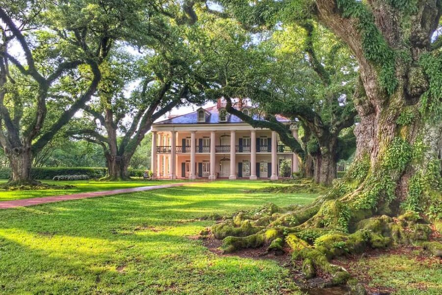 New Orleans: Swamp Boat Ride & Oak Alley Plantation Tour - Who Would Enjoy This Tour?
