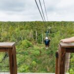 New Orleans: Swamp Zipline Tour - The Sum Up: Who Should Consider This Tour?