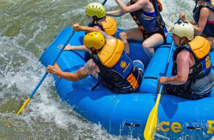 New River Gorge Whitewater Rafting - Lower New Full Day - The Value of This Tour