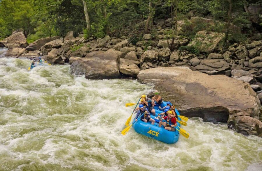 New River Gorge Whitewater Rafting - Lower New Half Day - Why This Tour Offers Good Value