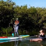 New Smyrna Mangrove Paddle & Mimosa Tour - An In-Depth Look at the Tour Experience