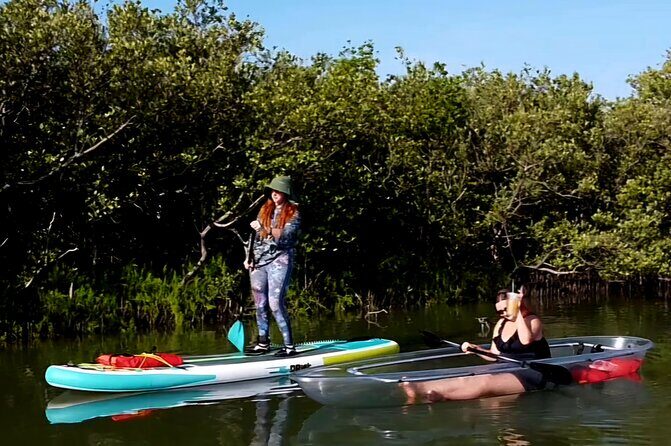New Smyrna Mangrove Paddle & Mimosa Tour - An In-Depth Look at the Tour Experience