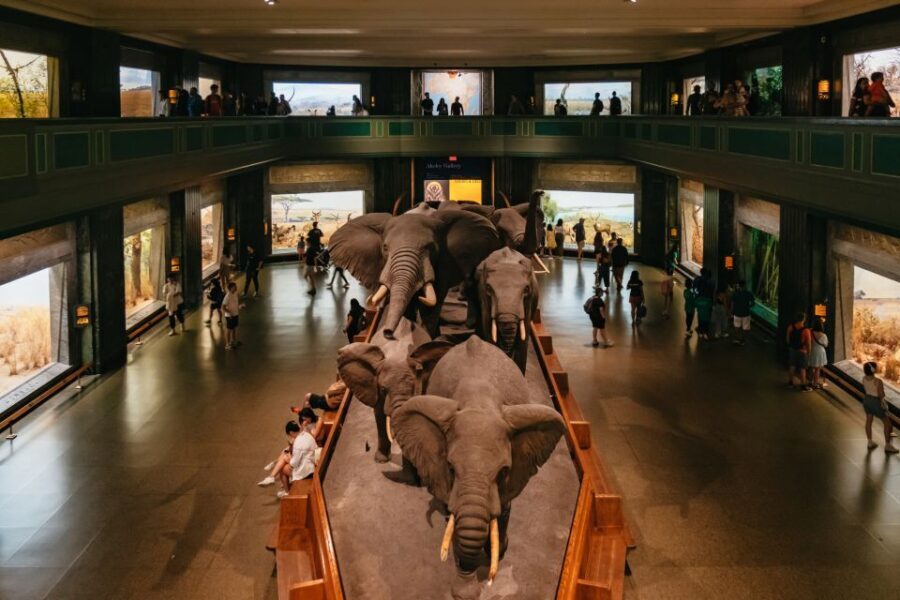 New York City: American Museum of Natural History Ticket - A Deep Dive into the Experience